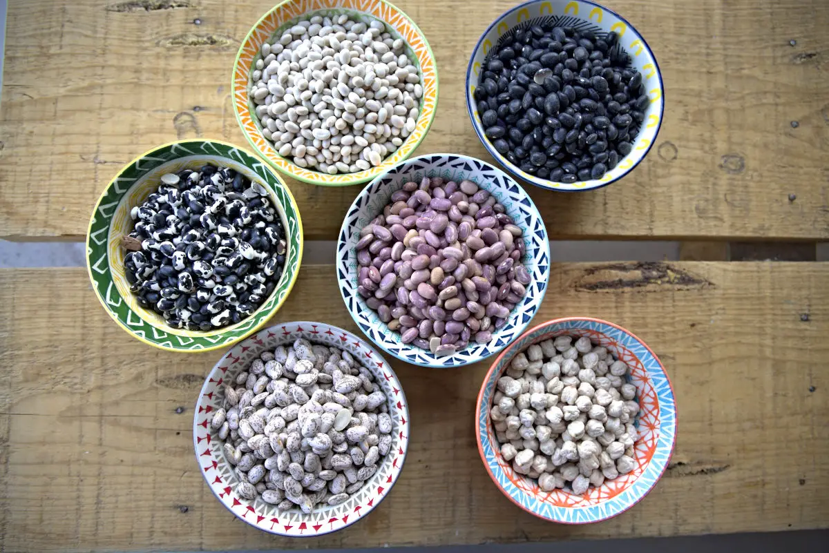 How to Cook Dried Beans - Golden Thyme Homestead