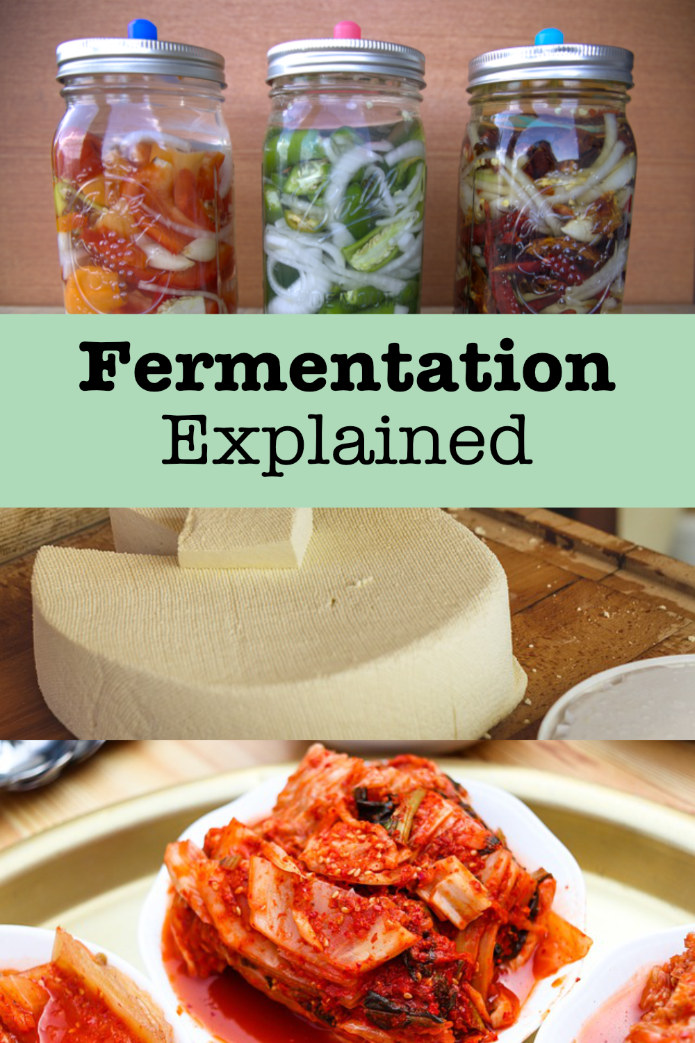 What is Fermentation? - Golden Thyme Homestead