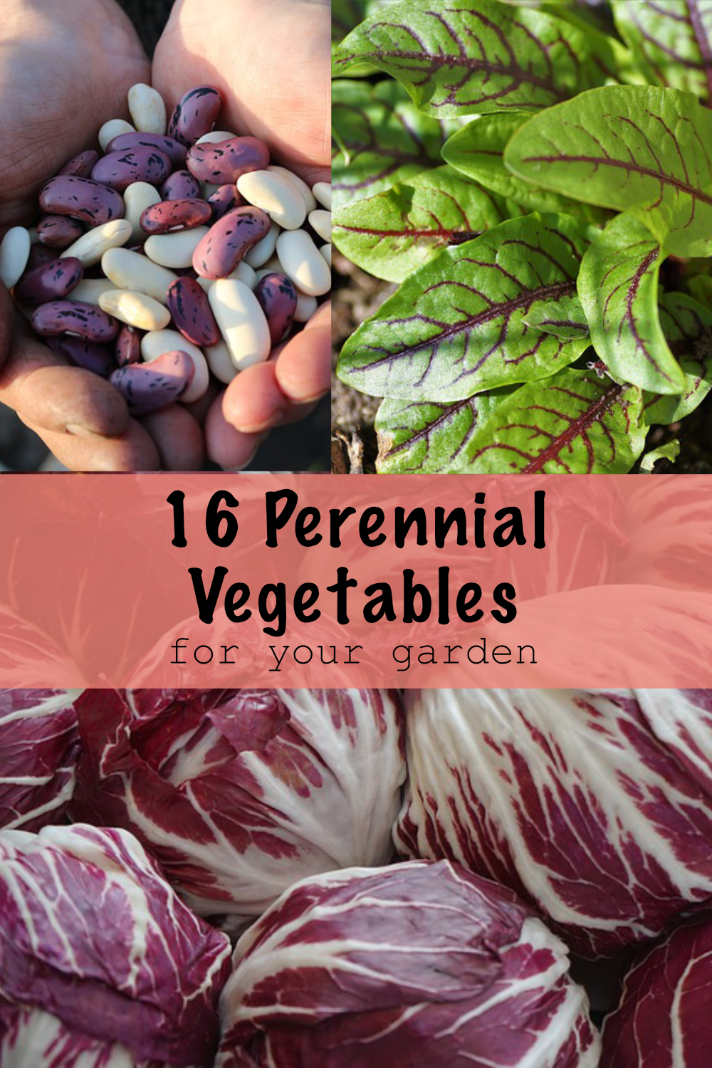 16 Perennial Vegetables For Your Garden - Golden Thyme Homestead
