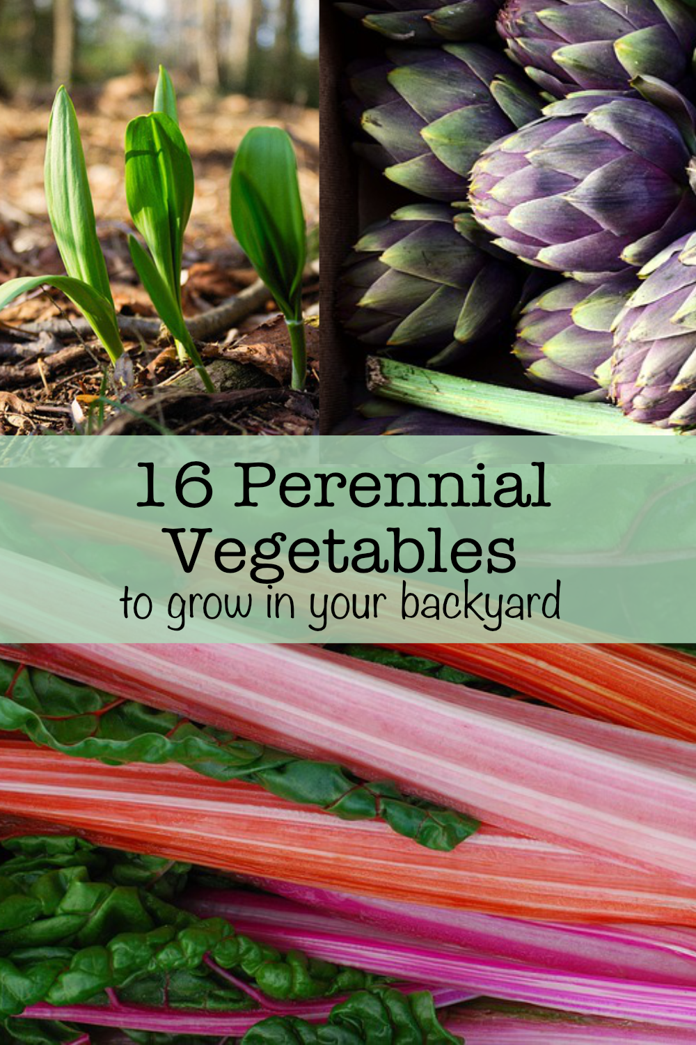 16 Perennial Vegetables For Your Garden - Golden Thyme Homestead