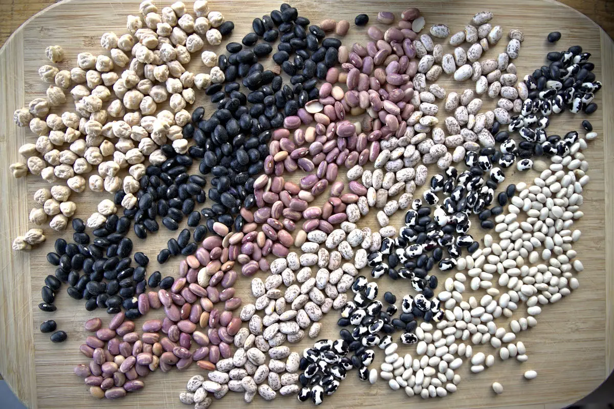 How to Cook Dried Beans - Golden Thyme Homestead