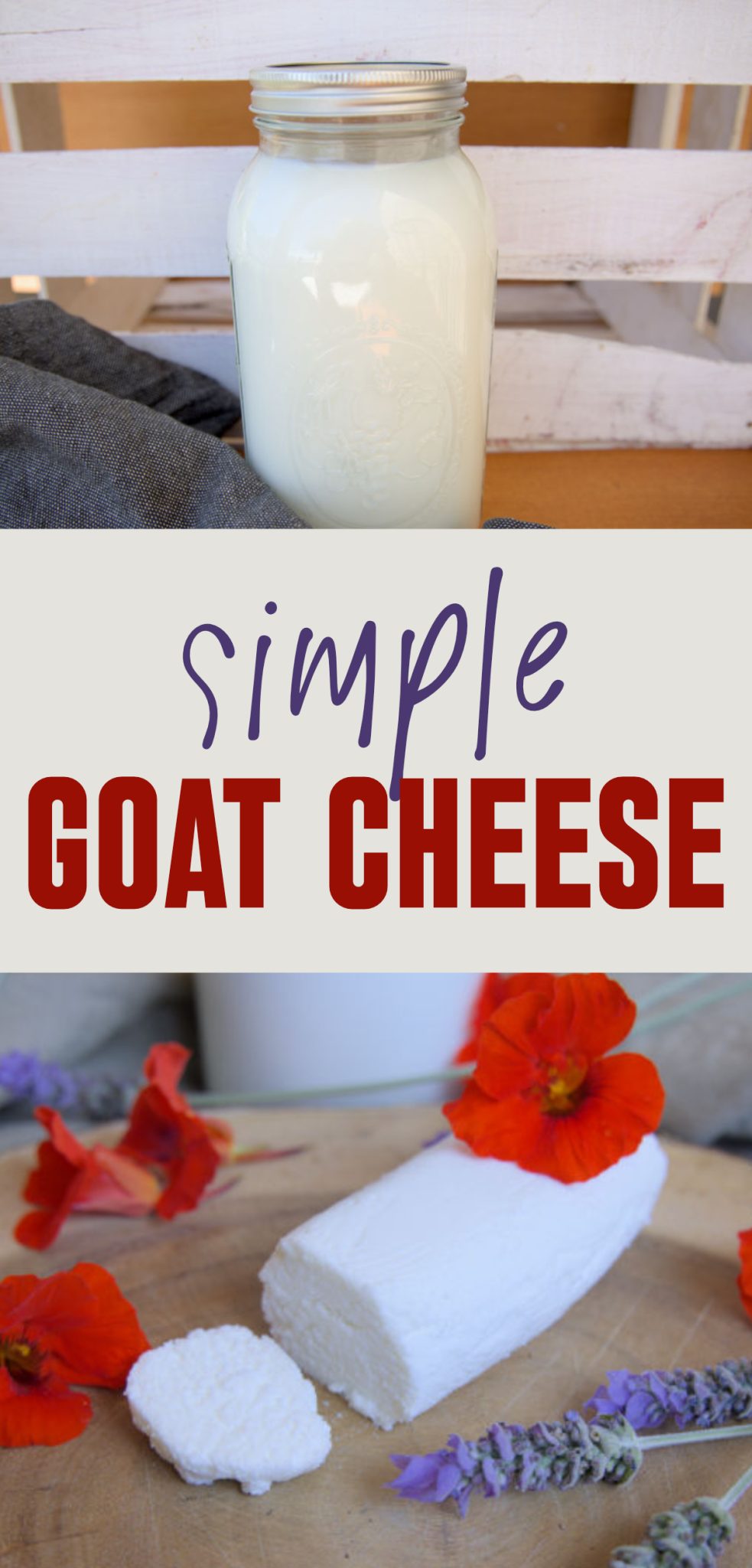 How To Make Goat Cheese - Golden Thyme Homestead